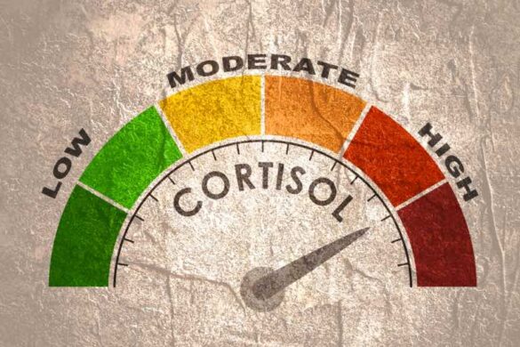 What Are the Top 12 Supplements to Reduce High Cortisol Levels? - The ...